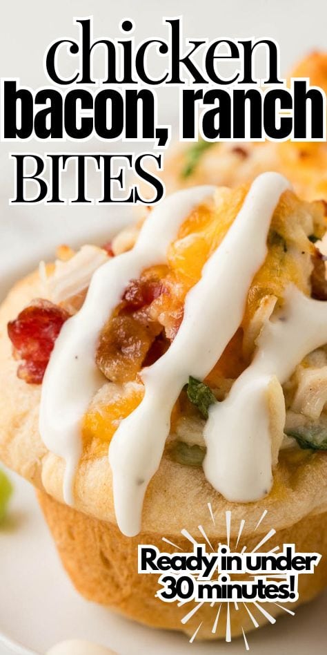 Chicken Bacon Ranch Bites - Fantabulosity