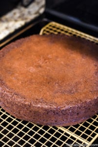 Peppermint Mocha Crunch Cake - Fantabulosity