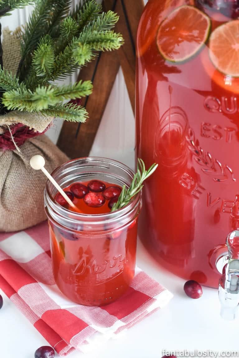 The BEST Punch Recipe