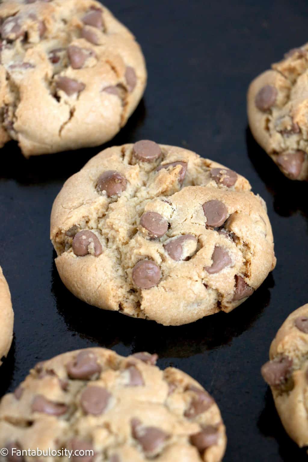 Big Fat Chewy Chocolate Chip Cookies - Fantabulosity