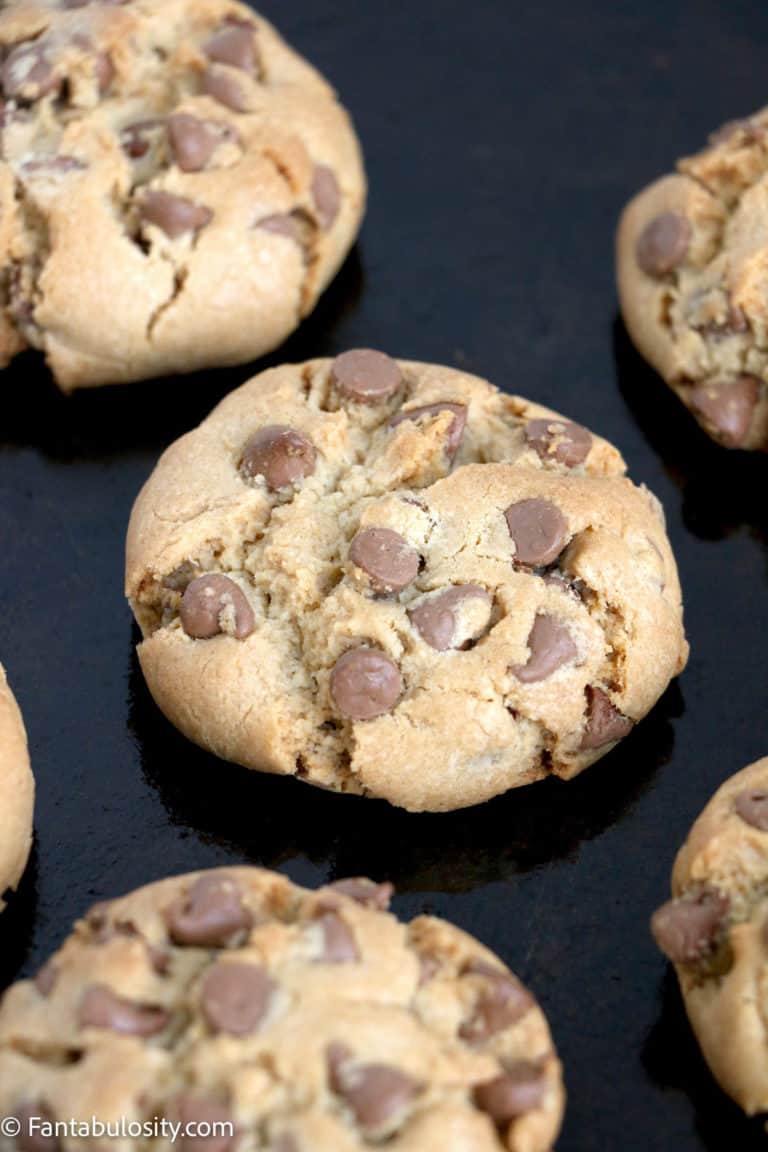 Big Fat Chewy Chocolate Chip Cookies - Fantabulosity