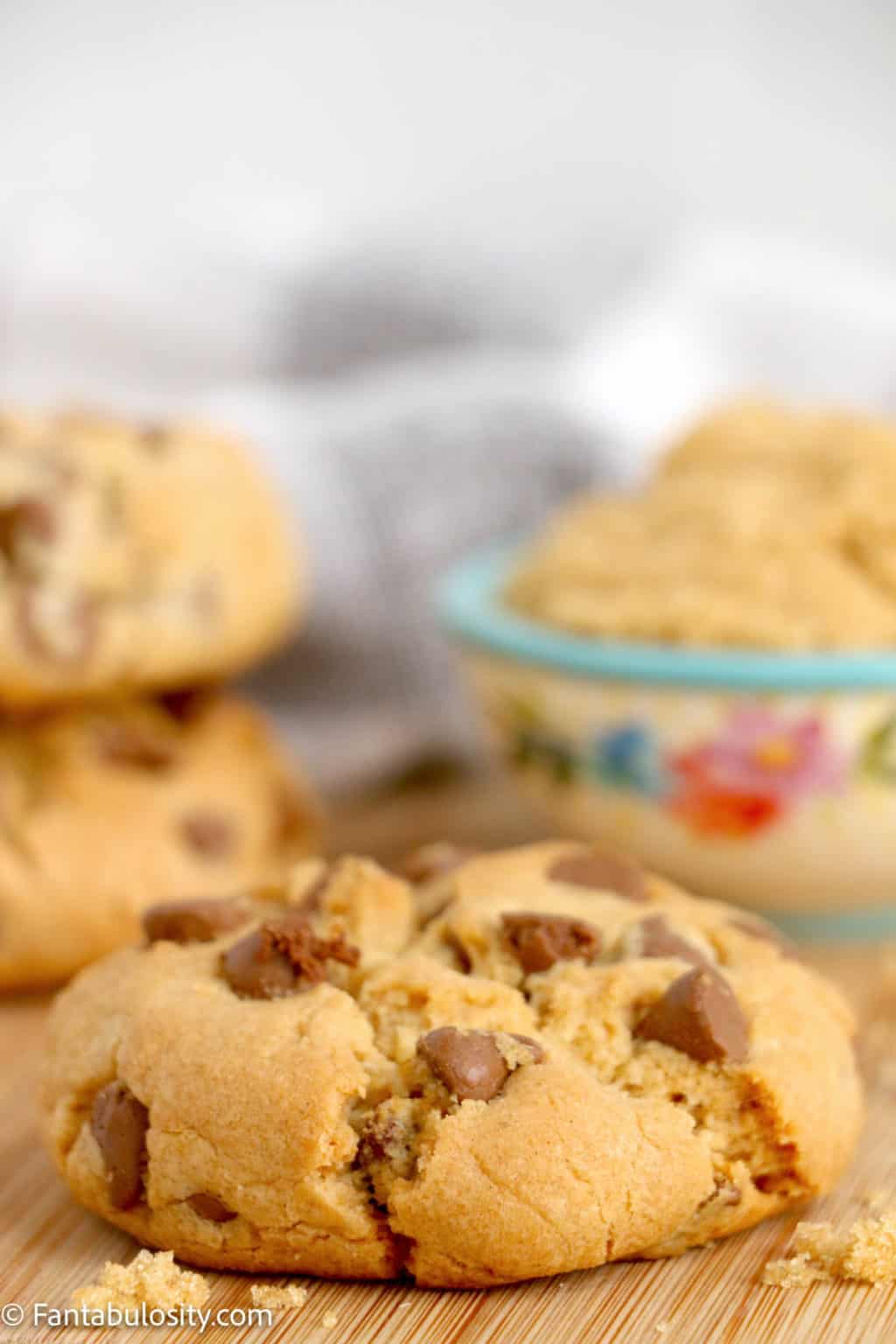 Big Fat Chewy Chocolate Chip Cookies - Fantabulosity