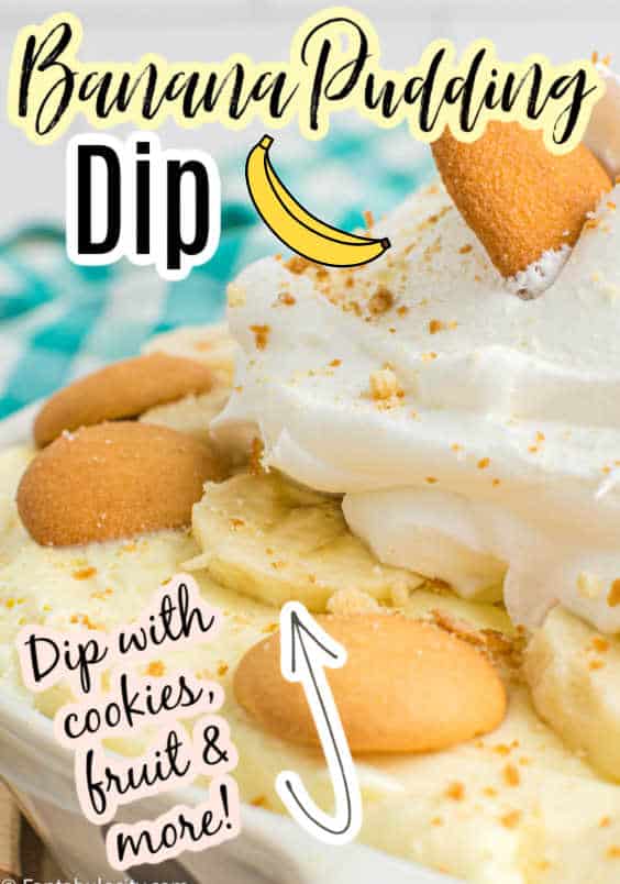 Banana Pudding Dip - Fantabulosity