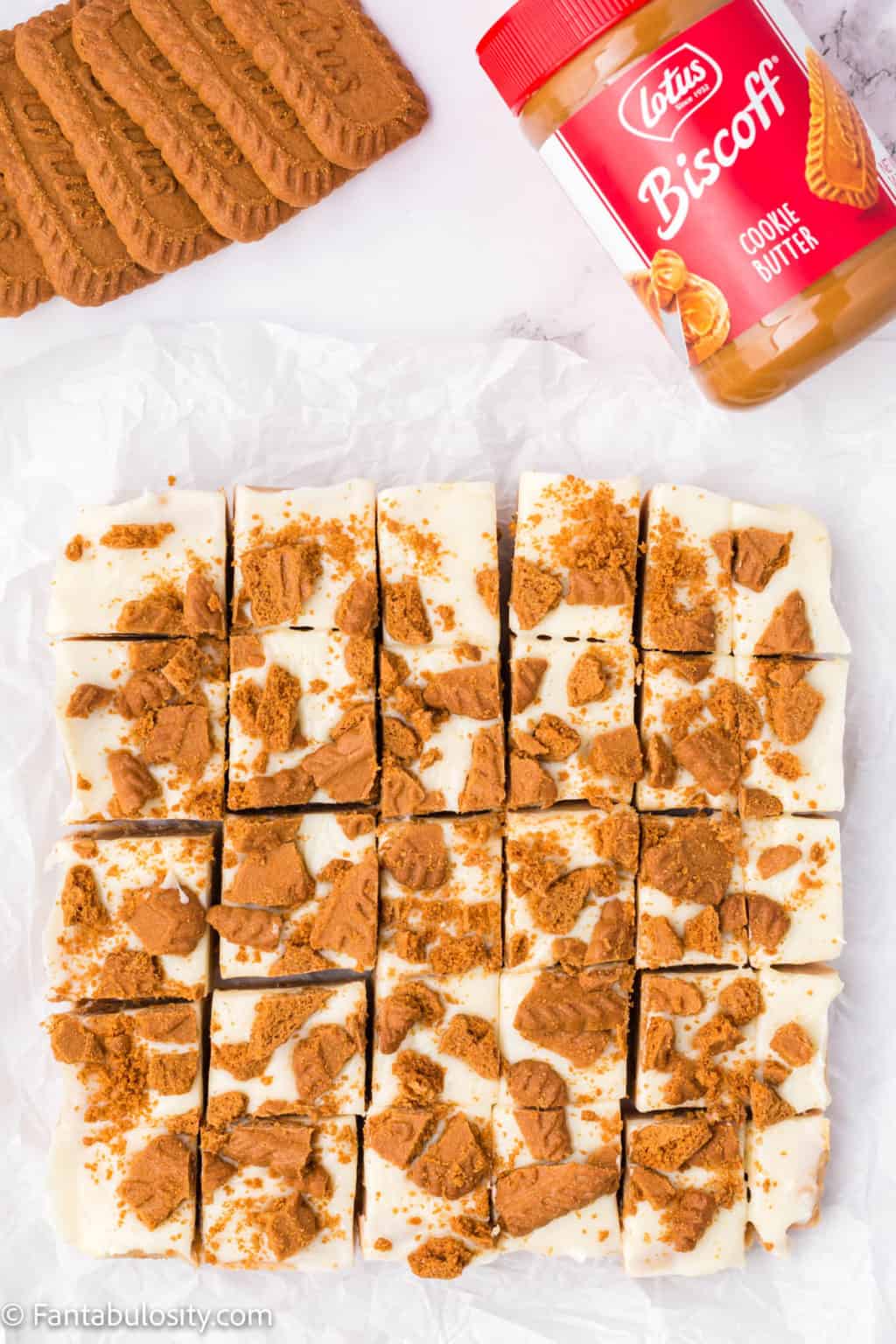 Biscoff Fudge - Fantabulosity
