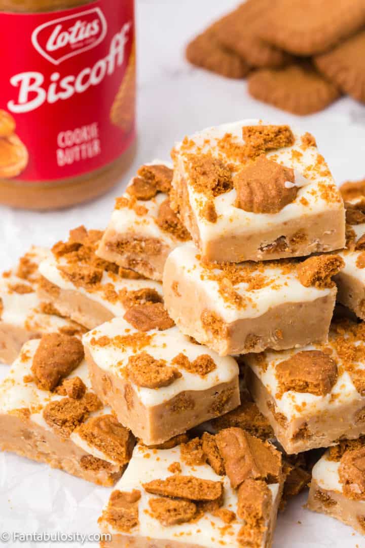 Biscoff Fudge - Fantabulosity