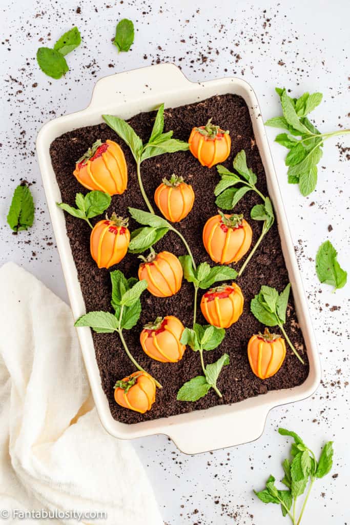 Pumpkin Patch Brownies with Strawberry Pumpkins - Fantabulosity