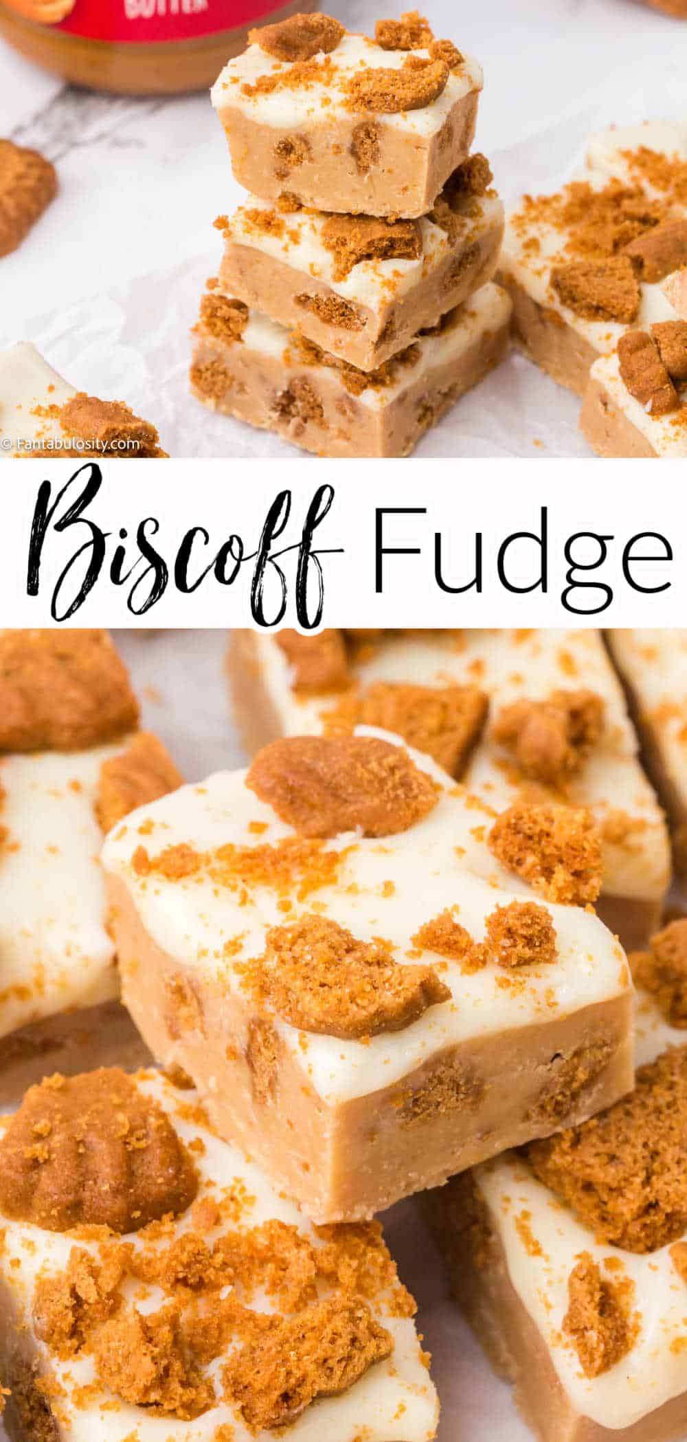 Biscoff Fudge - Fantabulosity