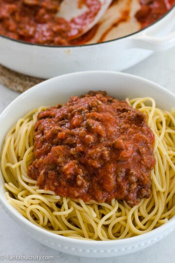 Venison Spaghetti - Fantabulosity