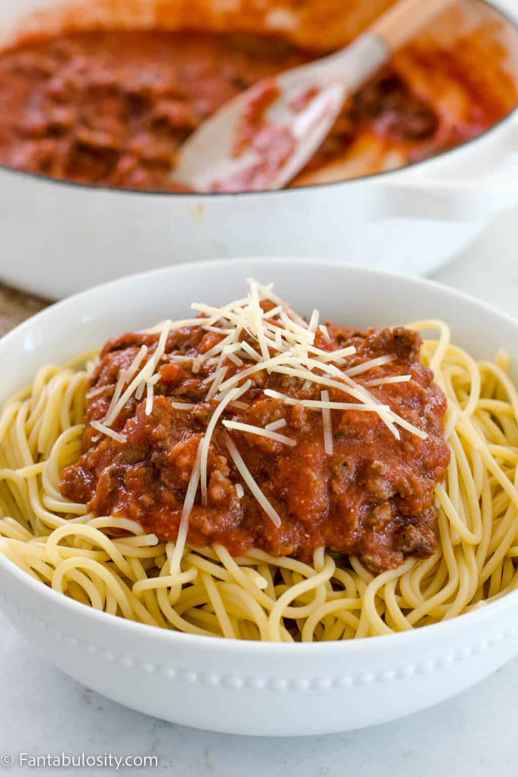 Venison Spaghetti - Fantabulosity