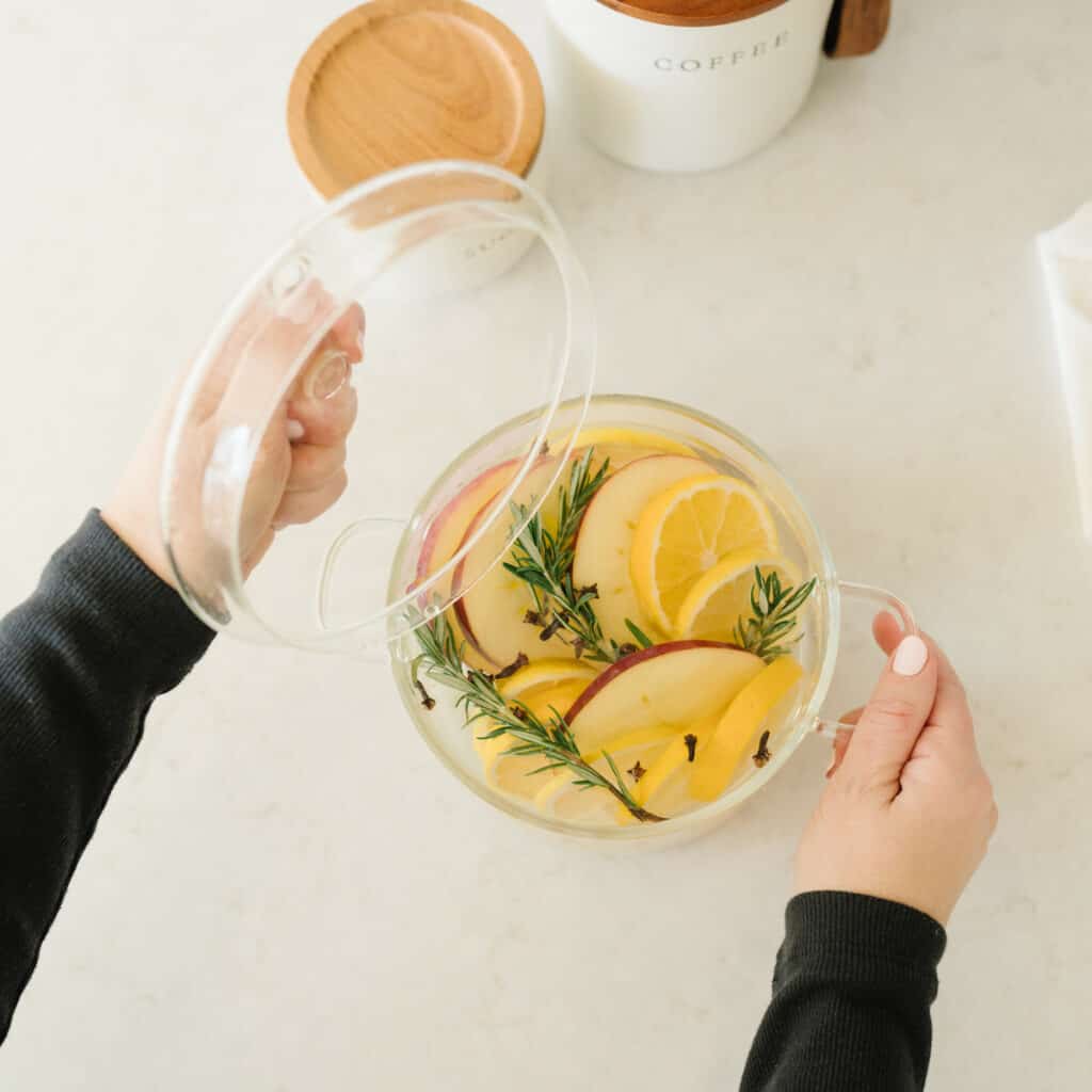 Easy Simmer Pot Recipe - Fantabulosity