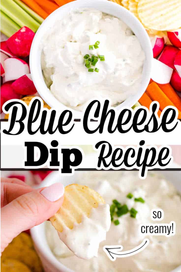 Blue Cheese Dip - Fantabulosity