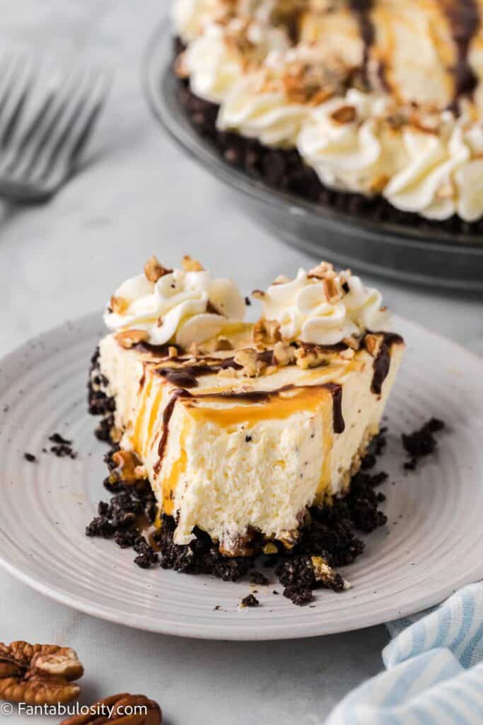 Turtle Pie - Fantabulosity