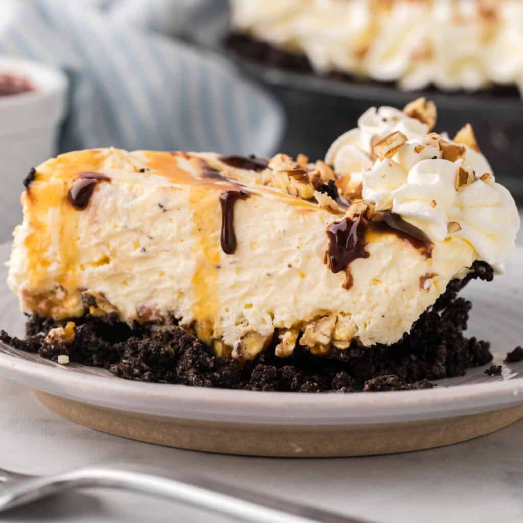 Turtle Pie - Fantabulosity