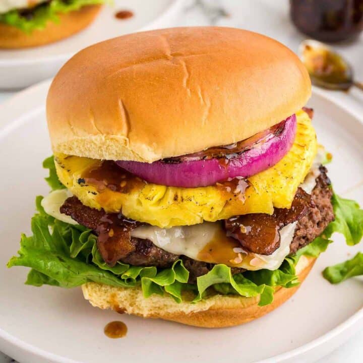 Aloha Burgers - Fantabulosity