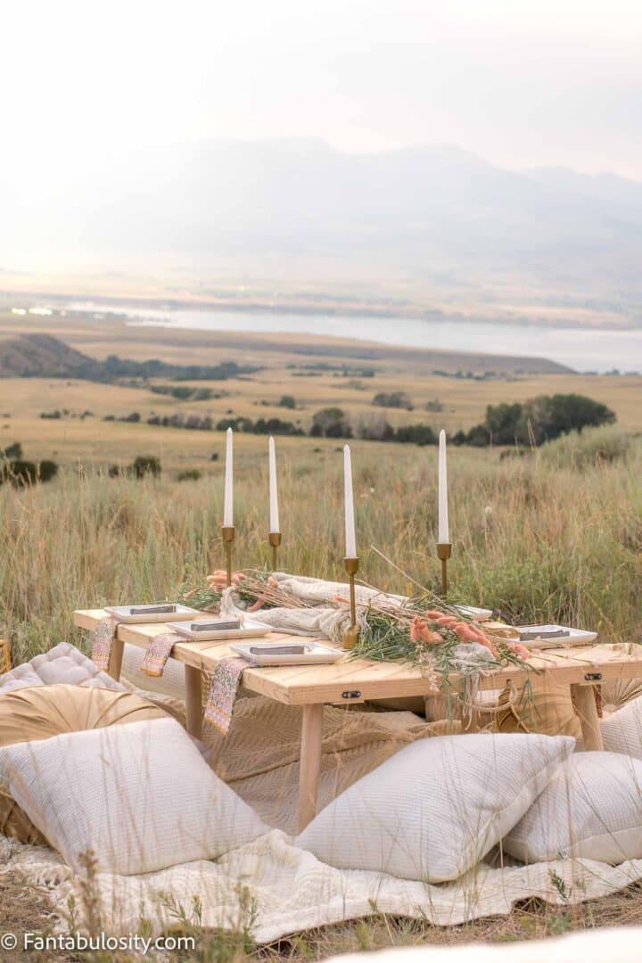 Picnic Set Up - Party Ideas & More - Fantabulosity