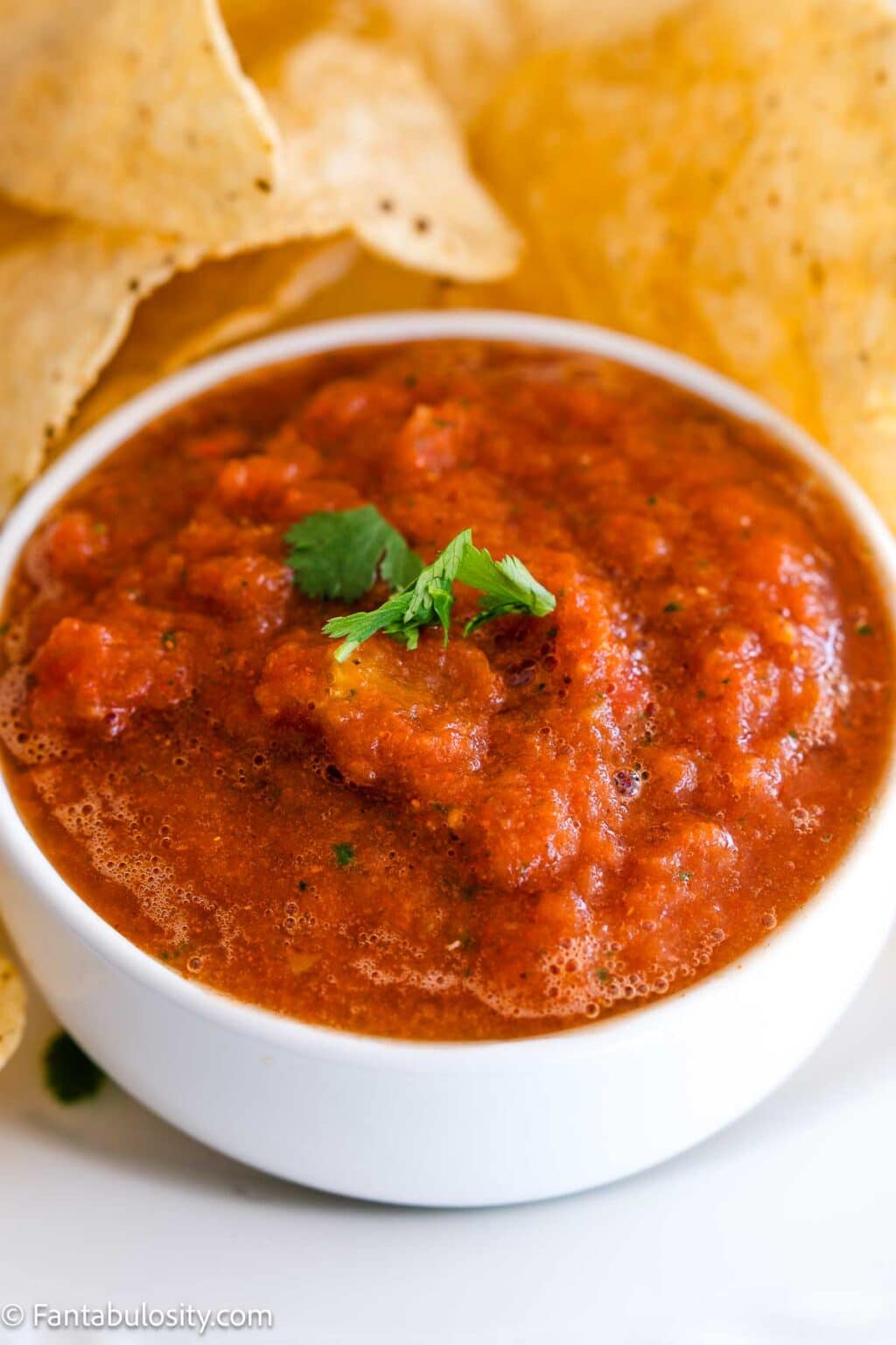 Rotel Salsa - in Under 1 Minute! - Fantabulosity