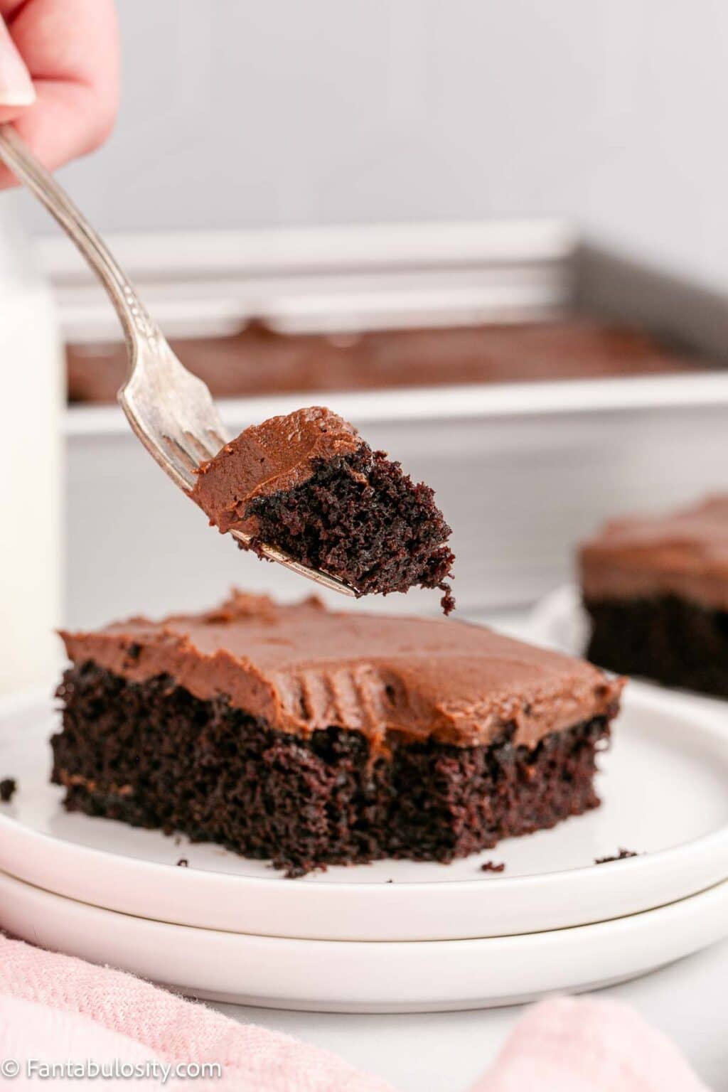 Depression Cake Recipe - Fantabulosity