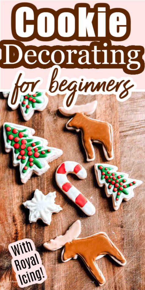 Cookie Decorating for Beginners with Royal Icing - Fantabulosity