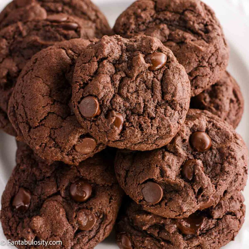 Big Fat Chewy Chocolate Chip Cookies - Fantabulosity